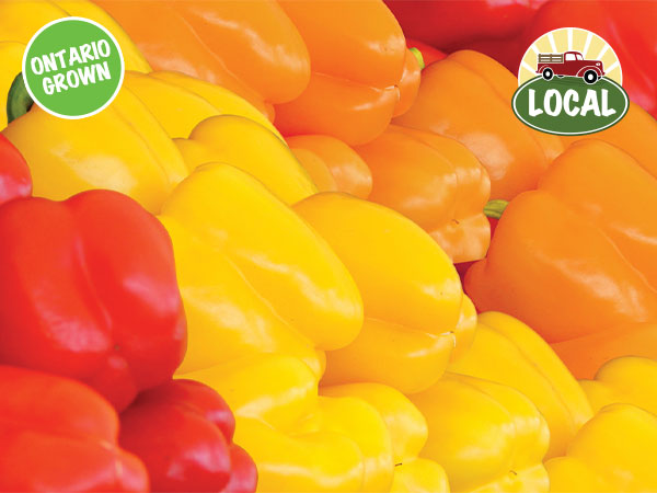 Farm Boy - It's all about the Food.