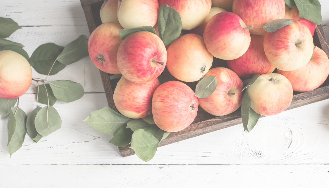 Farm Boy - It's all about the Food.