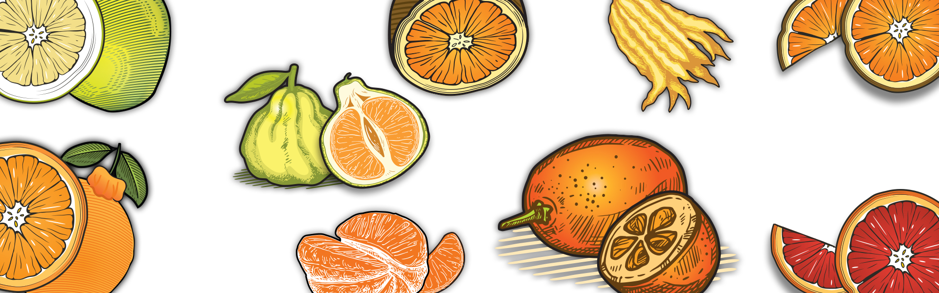Guide To: Unique Citrus | Farm Boy