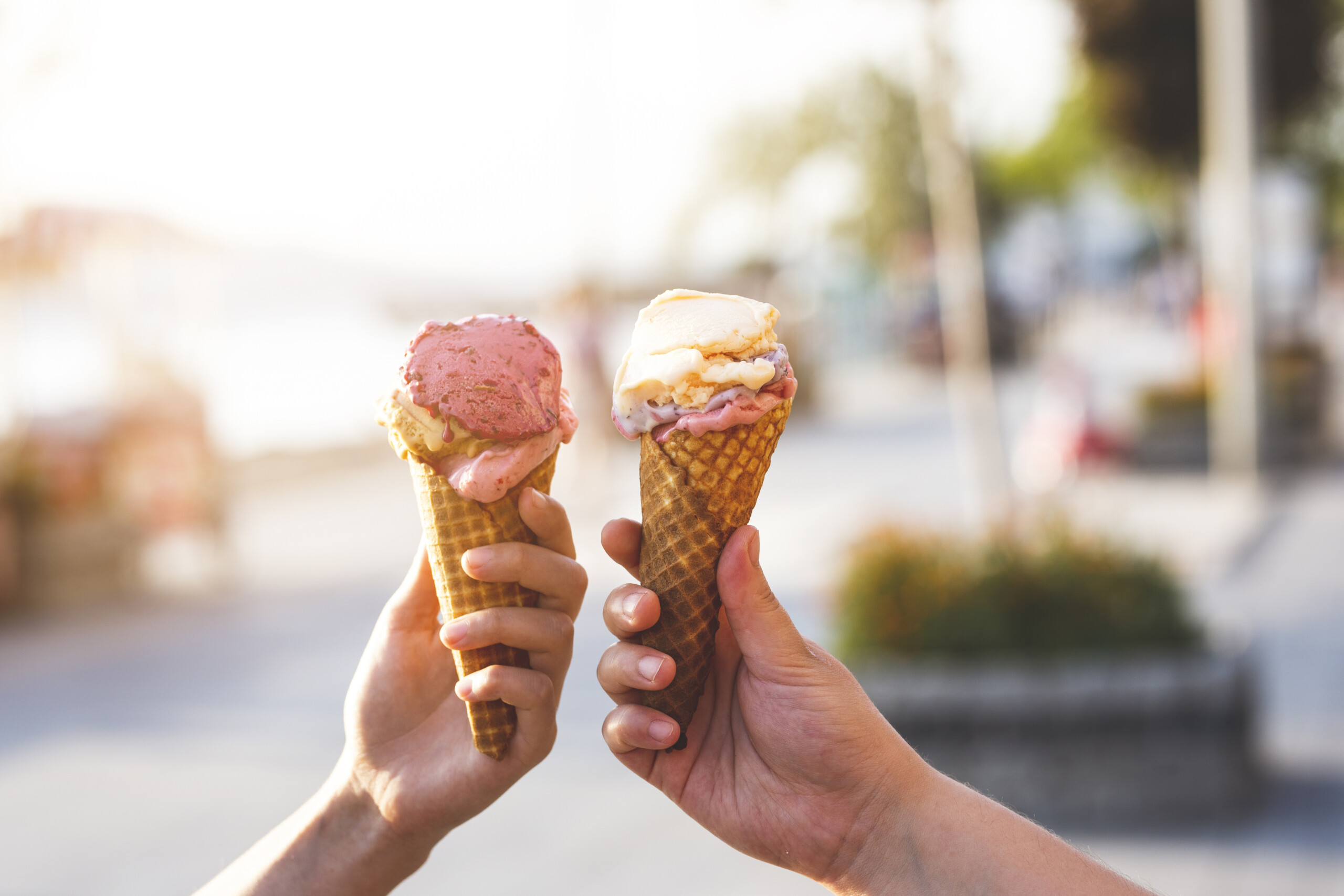Guide To: Farm Boy Ice Creams & More! | Farm Boy