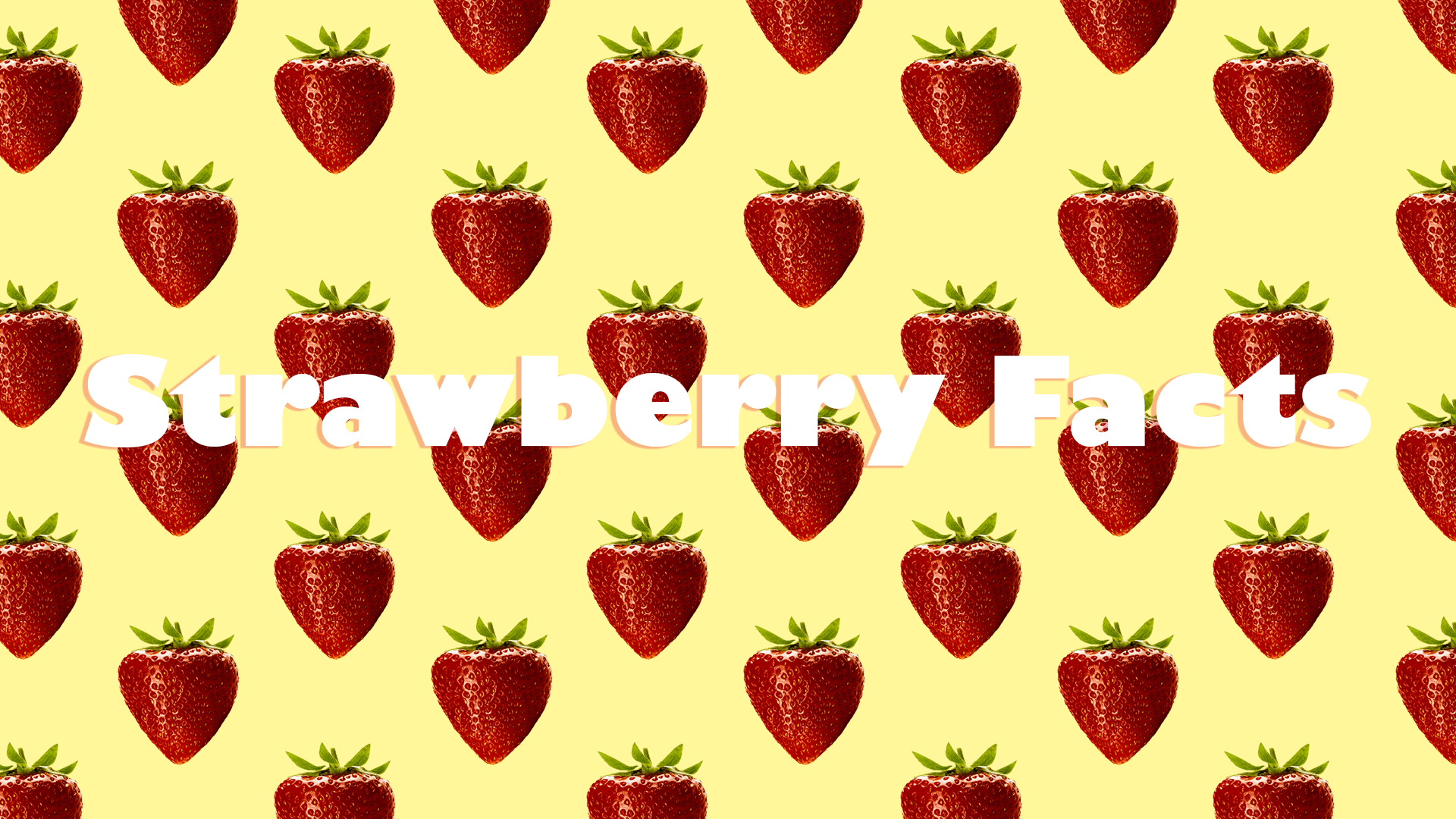 Strawberry Season in Ontario Explained | Farm Boy