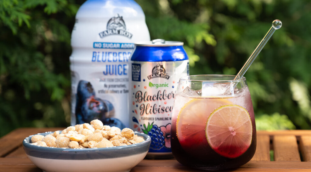 Blueberry Fizz Recipe | Farm Boy Recipes