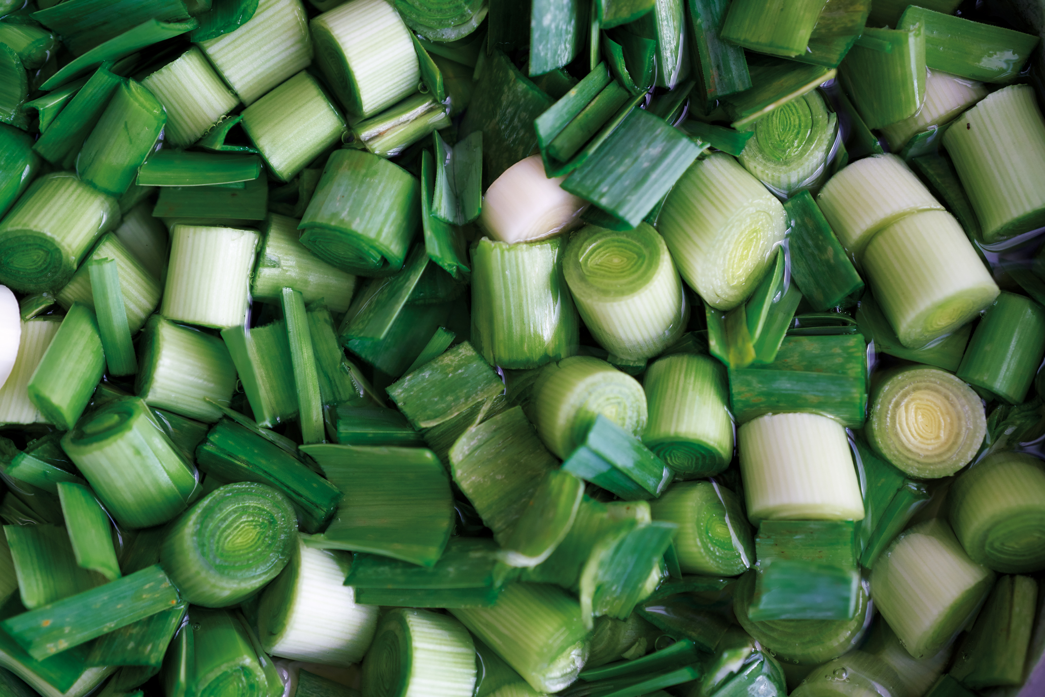 What Are Leeks? Guide to This Veg | Farm Boy