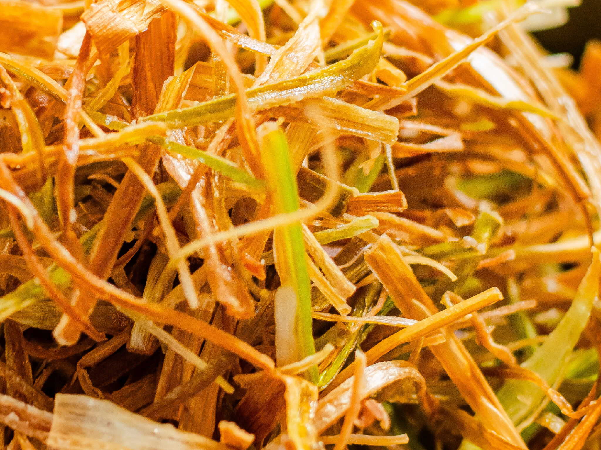 What Are Leeks? Guide to This Veg | Farm Boy