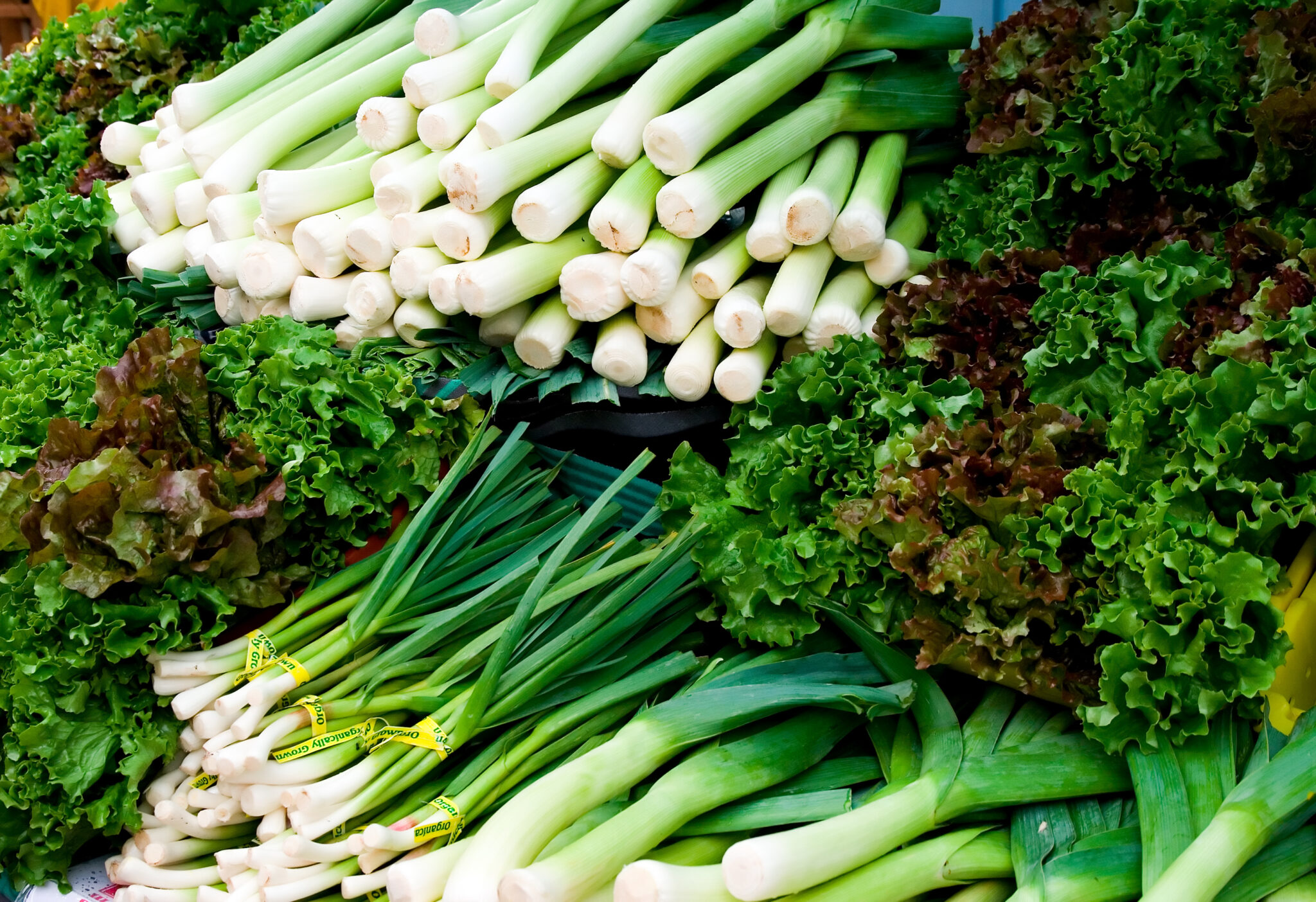 What Are Leeks? Guide to This Veg | Farm Boy