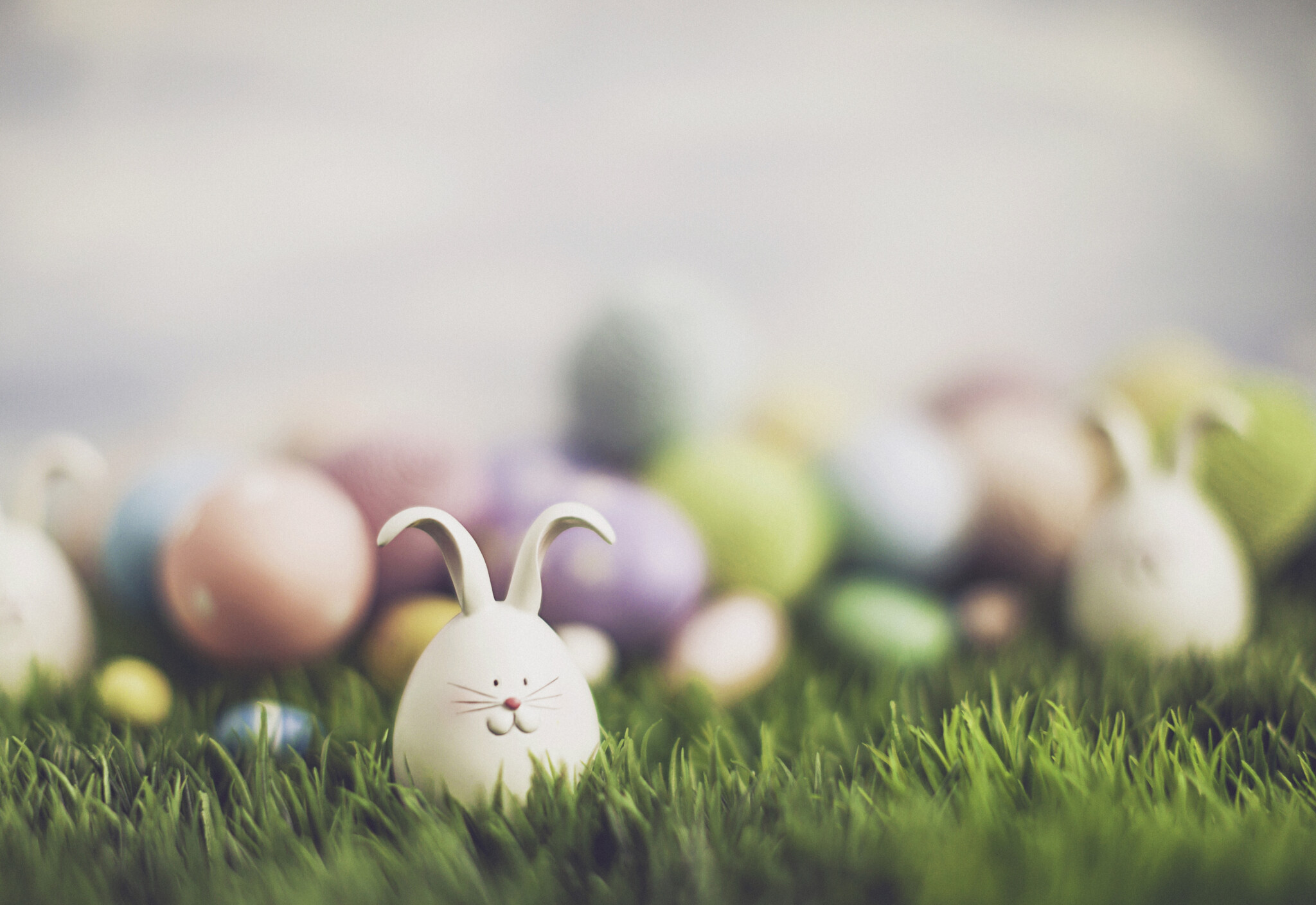 How To: Build an Easter Sweets Board | Farm Boy