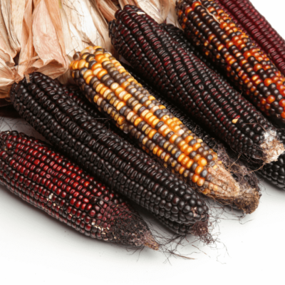 When Is Corn Season in Canada? | Farm Boy