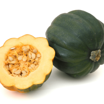 Farm Boy's Guide to: Types of Squash | Farm Boy
