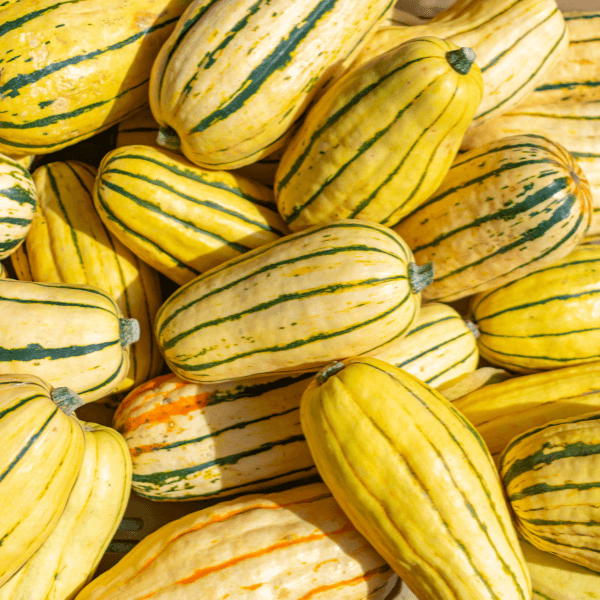 Farm Boy's Guide to: Types of Squash | Farm Boy