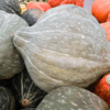 Farm Boy's Guide to: Types of Squash | Farm Boy