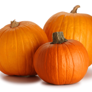 Farm Boy's Guide to: Types of Squash | Farm Boy