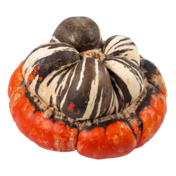 Farm Boy's Guide to: Types of Squash | Farm Boy