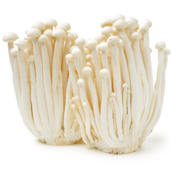 All About Mushrooms | Farm Boy