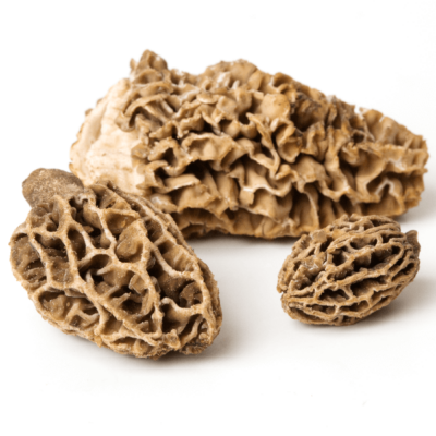All About Mushrooms | Farm Boy