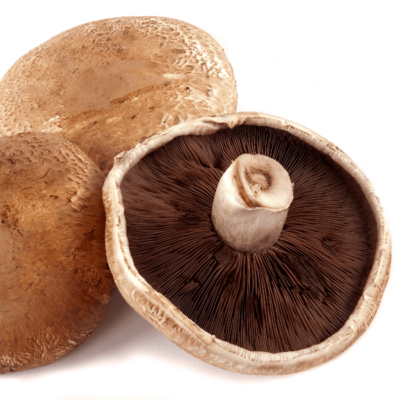 All About Mushrooms | Farm Boy