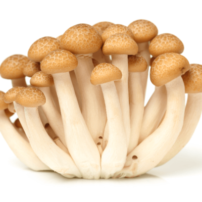 All About Mushrooms | Farm Boy