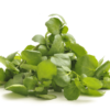 Farm Boy's Guide to: Lettuces and Salad Greens | Farm Boy