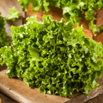Farm Boy's Guide to: Lettuces and Salad Greens | Farm Boy