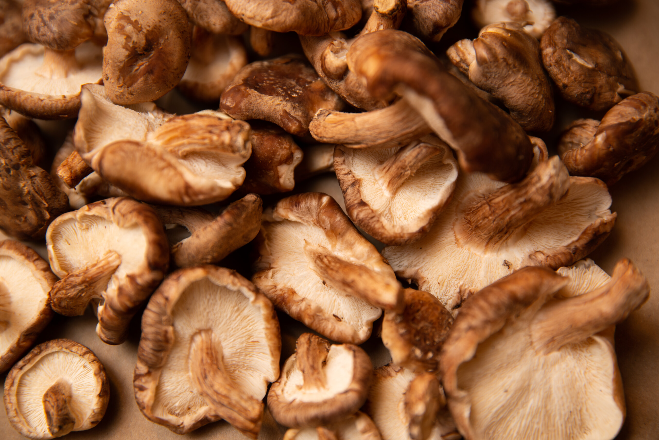 Caps Off to Local: Holburne Mushroom Farm | Farm Boy